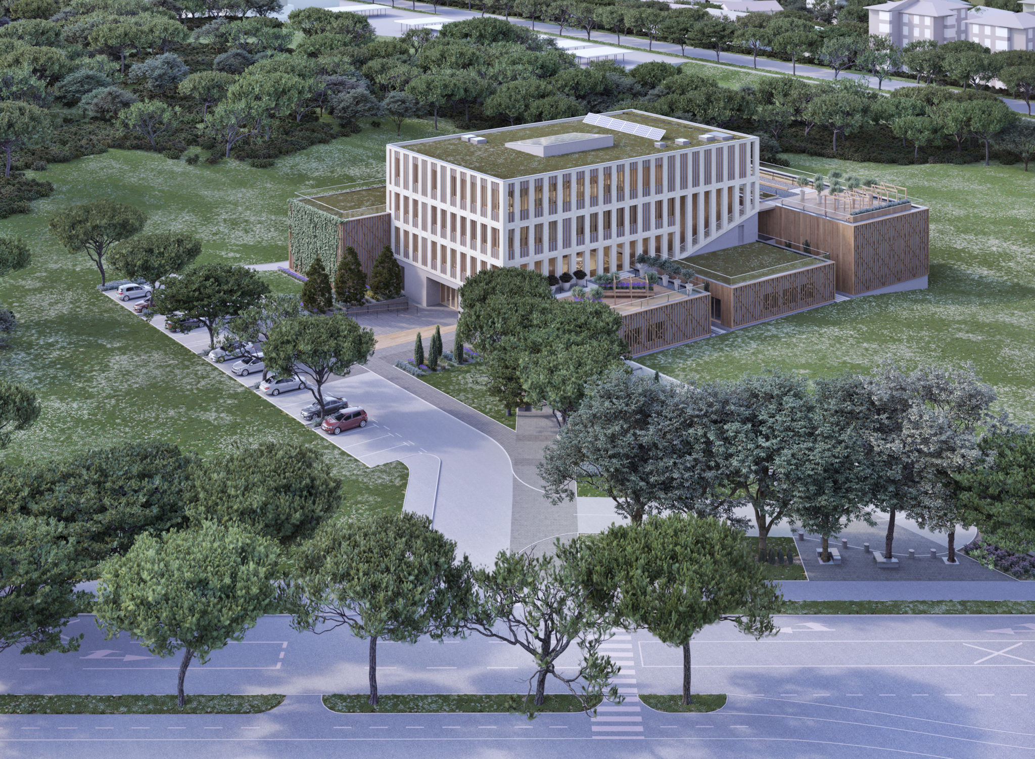 NURTURING SUSTAINABLE BIO-BASED CONSTRUCTION - COST 50 years